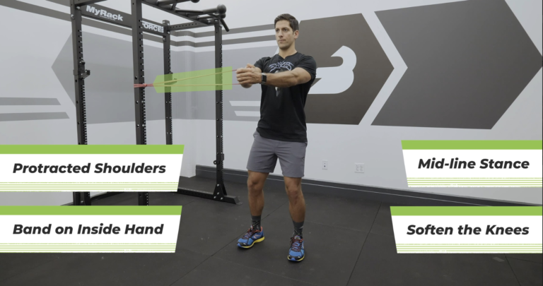 Pallof Press – Form, Muscles Worked, and How-To Guide - BarBend