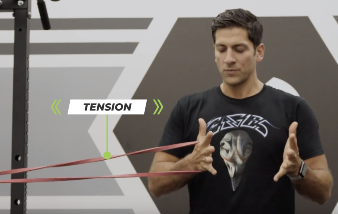 Pallof Press – Form, Muscles Worked, and How-To Guide - BarBend