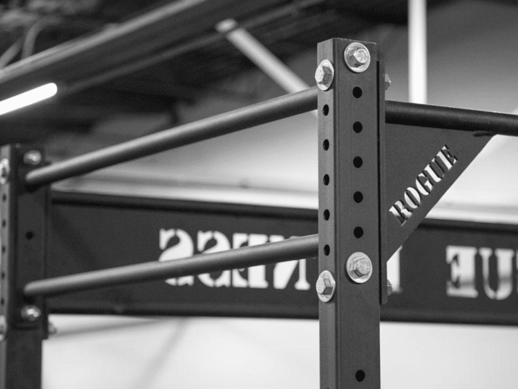 Rogue Fitness W-4 Garage Gym Review (2024) | BarBend