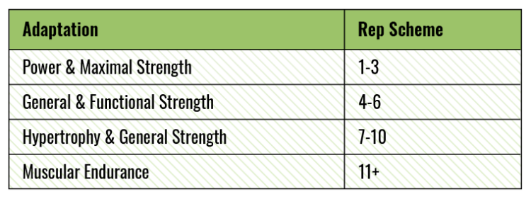 Every Step Needed to Build Your First Workout Program | BarBend