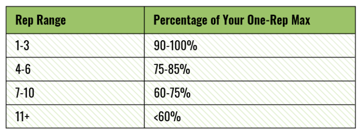 Every Step Needed to Build Your First Workout Program | BarBend