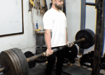 Exercise Guides - BarBend