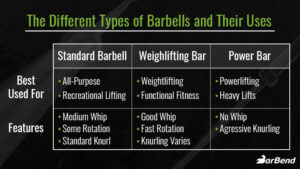Different Types of Barbells & How to Use Them to Gain Strength or Size ...