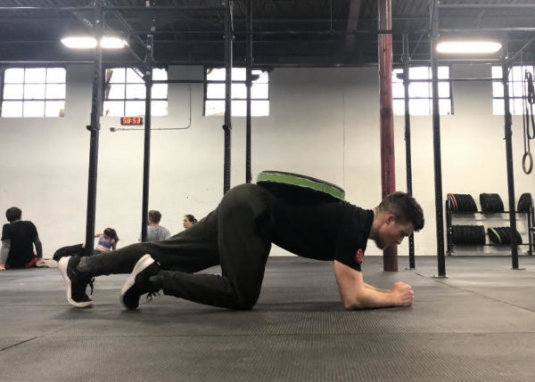 Plank Exercise Guide - Bodyweight and Weighted Plank - BarBend