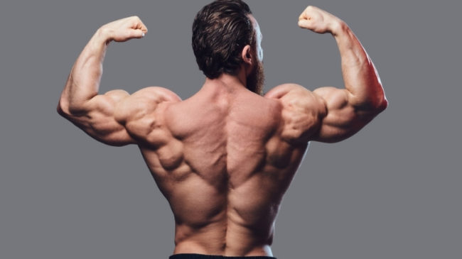 The 7 Best Back Exercises For Strength And Muscle Gain