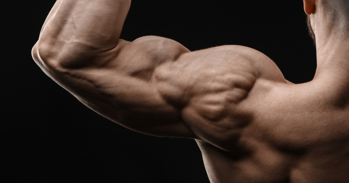 3 Alternative Overload Methods to Improve Strength and Muscle Mass ...
