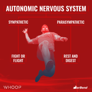 What Is Heart Rate Variability? How to Use and Monitor HRV (Brought to ...