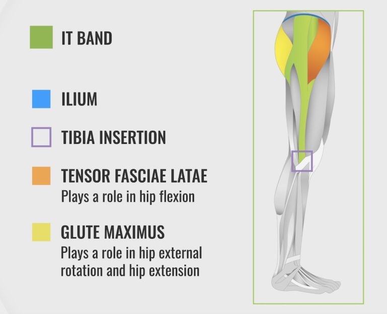 4 Great IT Band Exercises for Improving Hip Stability (Ft Jordan ...