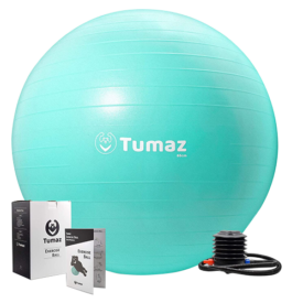 Best Exercise Balls - BarBend