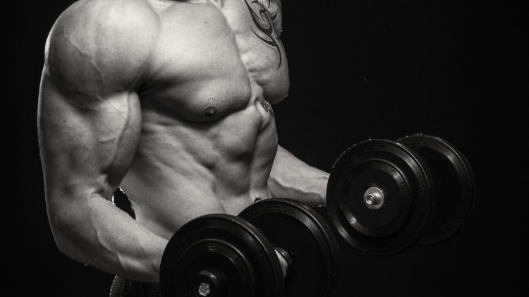 What You Need to Know About How to Build Muscle | BarBend