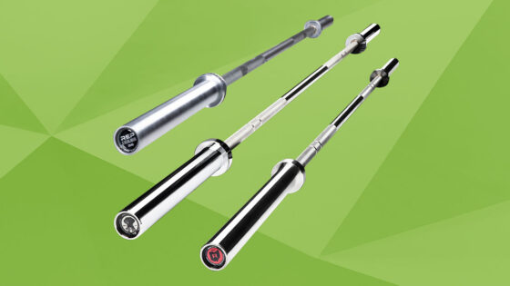 Barbell Row Alternatives | BarBend