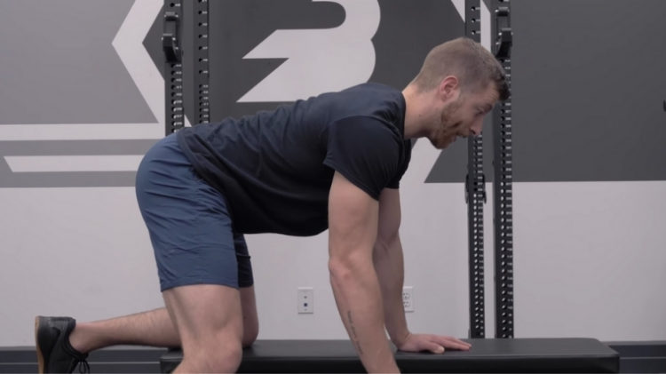 How to Do the The Single-Arm Dumbbell Row | BarBend