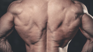 How to Do the Inverted Row — Variations, Alternatives, Sets and Reps ...