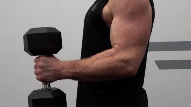 How to Do Hammer Curls — Benefits, Variations, and More | BarBend