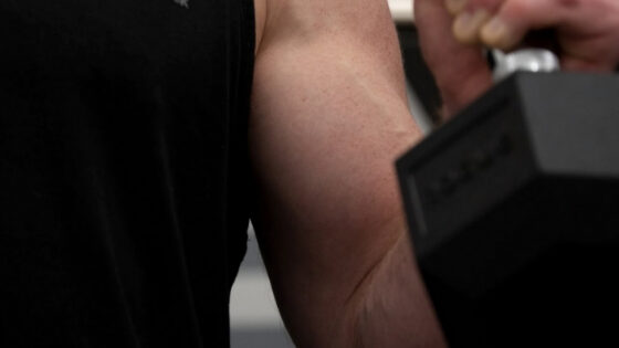 How to Do Hammer Curls — Benefits, Variations, and More | BarBend