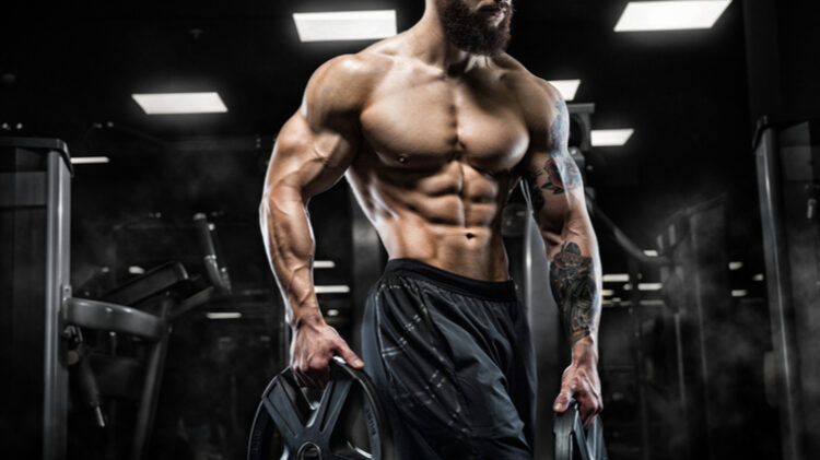Bodybuilding for Beginners — Your Ultimate Guide for Getting Started in ...