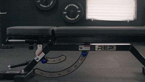 REP Fitness AB-5000 Zero Gap Weight Bench Review (2023 Update) | BarBend