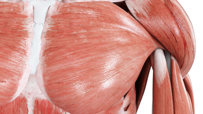 Use Bodybuilder Dorian Yates' Chest Workout to Become a Mass Monster ...