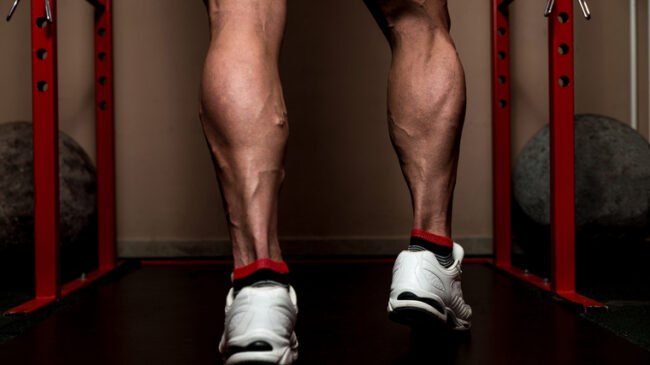 The Best Bodybuilding Calf Workout for Your Experience Level | BarBend