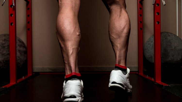 The Best Bodybuilding Calf Workout for Your Experience Level | BarBend