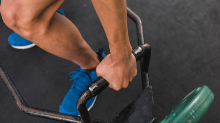 The 7 Best Trap Bars On The Market (2024 Update) | BarBend