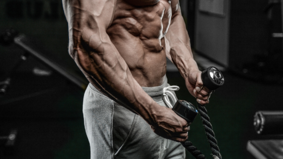 The Best Bodybuilding Forearm Workouts for Your Experience Level | BarBend