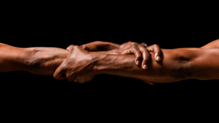 The Best Bodybuilding Forearm Workouts for Your Experience Level | BarBend