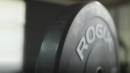 Rogue Echo Bumper Plates Review (2025 Update) | BarBend