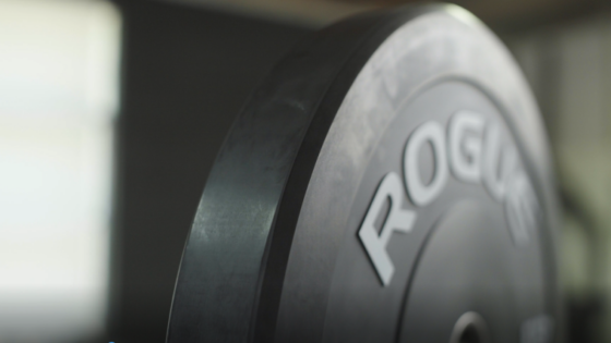 Rogue Echo Bumper Plates Review (2025 Update) | BarBend