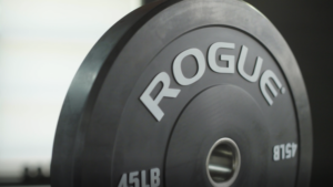 Rogue Echo Bumper Plates Review (2025 Update) | BarBend