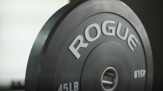 Rogue Echo Bumper Plates Review (2025 Update) | BarBend