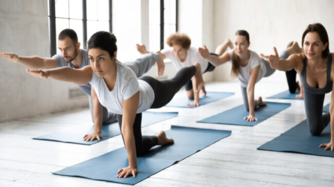 7 Bird Dog Variations to Help Your Core Strength Soar | BarBend