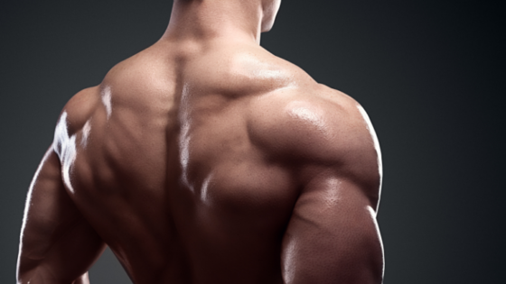 How to Do the Reverse Pec Deck — Tips, Tricks, & Variations | BarBend