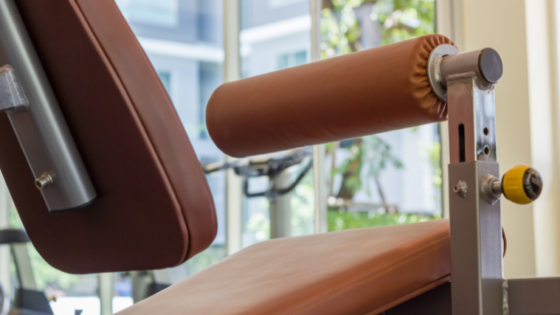 Master the Leg Curl for Stronger Hamstrings and Heavier Deadlifts | BarBend