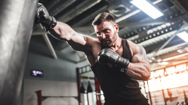 The 6 Best Punching Bags You Can Buy (2025 Update) | BarBend