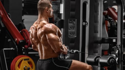 The 23 Best Back Exercises for Strength and Muscle Gain | BarBend