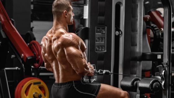 The 23 Best Back Exercises for Strength and Muscle Gain | BarBend