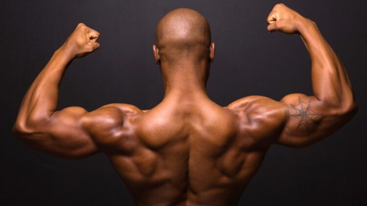 The 15 Best Shoulder Exercises For Building Muscle Barbend