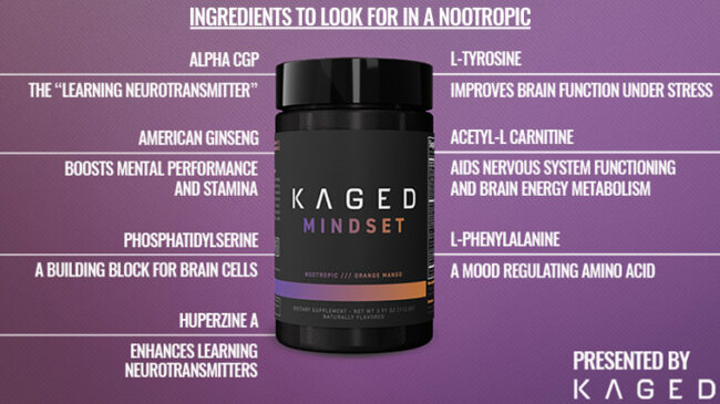 7 Benefits of Nootropic Supplements | BarBend