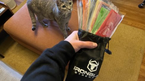 Best Resistance Bands (2024 Update) | BarBend