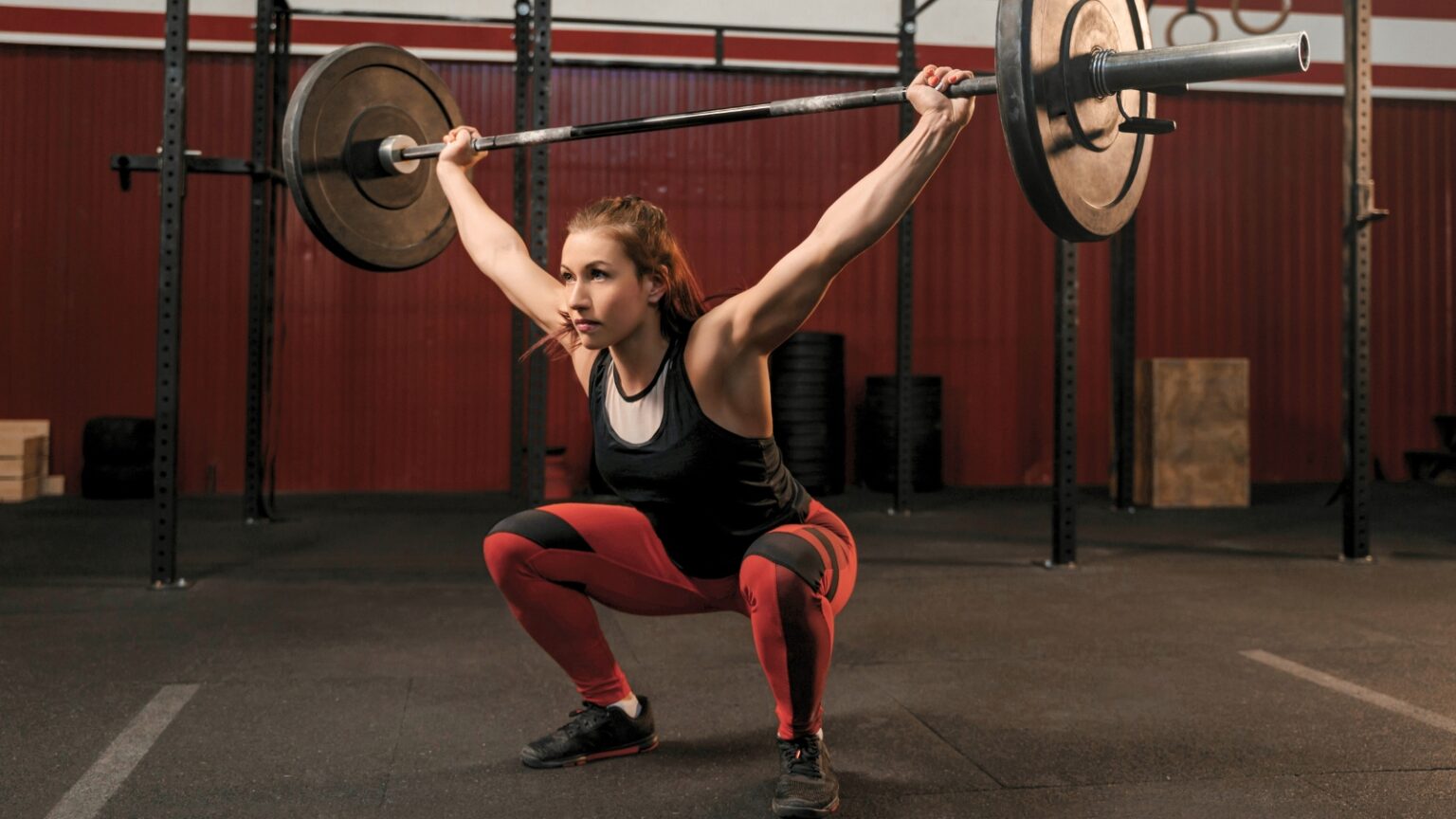 Exercise Guides | BarBend