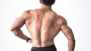 Challenge Your Core With the Reverse Plank | BarBend