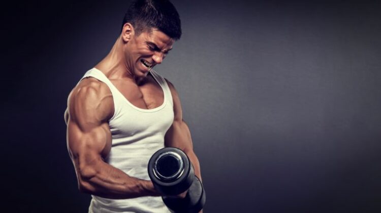 How to Do Alternating Biceps Curls for Improved Arms | BarBend