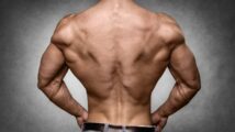The Anatomy of Your Back Muscles, Explained (and How to Train Them ...
