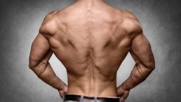 The Anatomy of Your Back Muscles, Explained (and How to Train Them ...