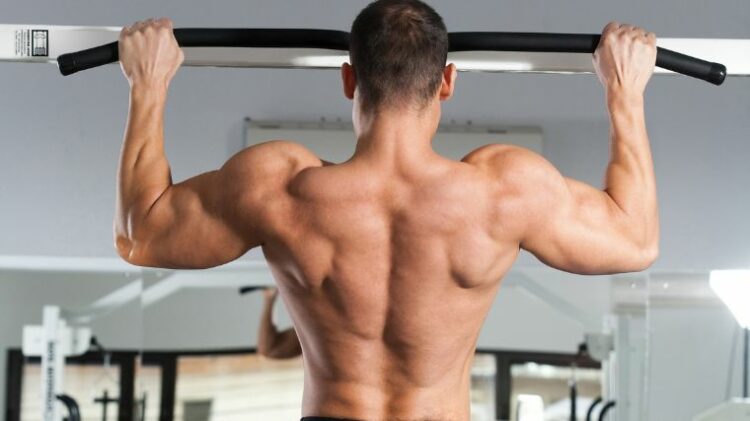 The 8 Best Rear Delt Exercises for Stronger, Well-Rounded Shoulders ...