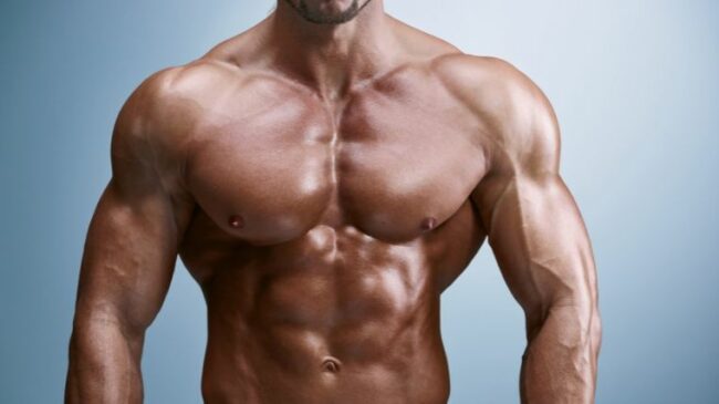 The Anatomy of Your Chest Muscles, Explained (and How to Train Them ...