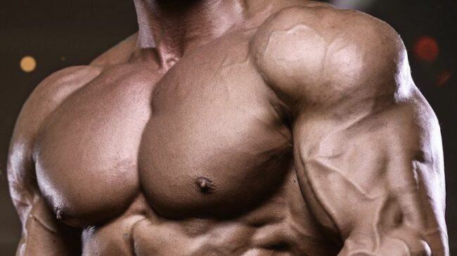 The Anatomy of Your Chest Muscles, Explained (and How to Train Them ...