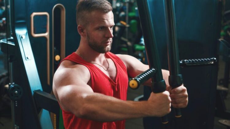 Do the Seated Chest Flye for Stable and Consistent Pec Gains | BarBend