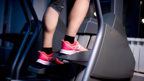 The 8 Best Vertical Climbers of 2024 | BarBend